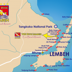 เรียนดำน้ำ PADI Scuba Diving กับ HappyDive - ทริปดำน้ำ และอุปกรณ์ดำน้ำ