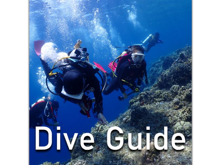 เรียนดำน้ำ Scuba Diving - ทริปดำน้ำ Diving Trip และอุปกรณ์ดำน้ำ Dive ...
