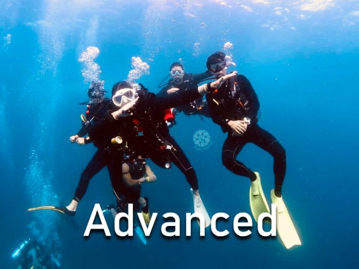 เรียนดำน้ำ Scuba Diving - ทริปดำน้ำ Diving Trip และอุปกรณ์ดำน้ำ Dive ...