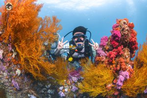 Home page » HappyDive.net