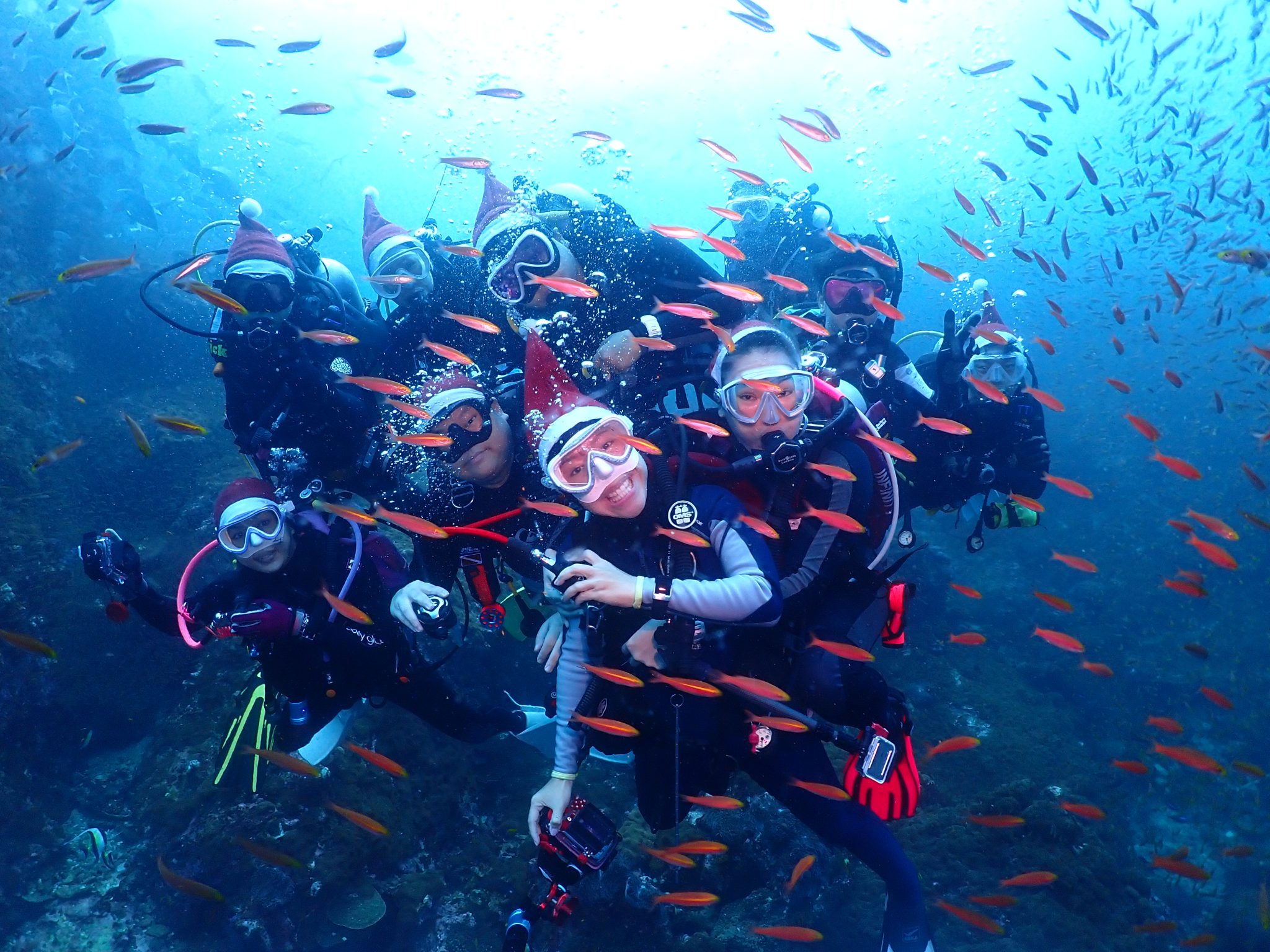 Home page » HappyDive.net