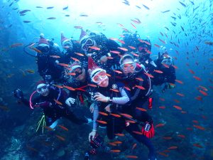 Home page » HappyDive.net