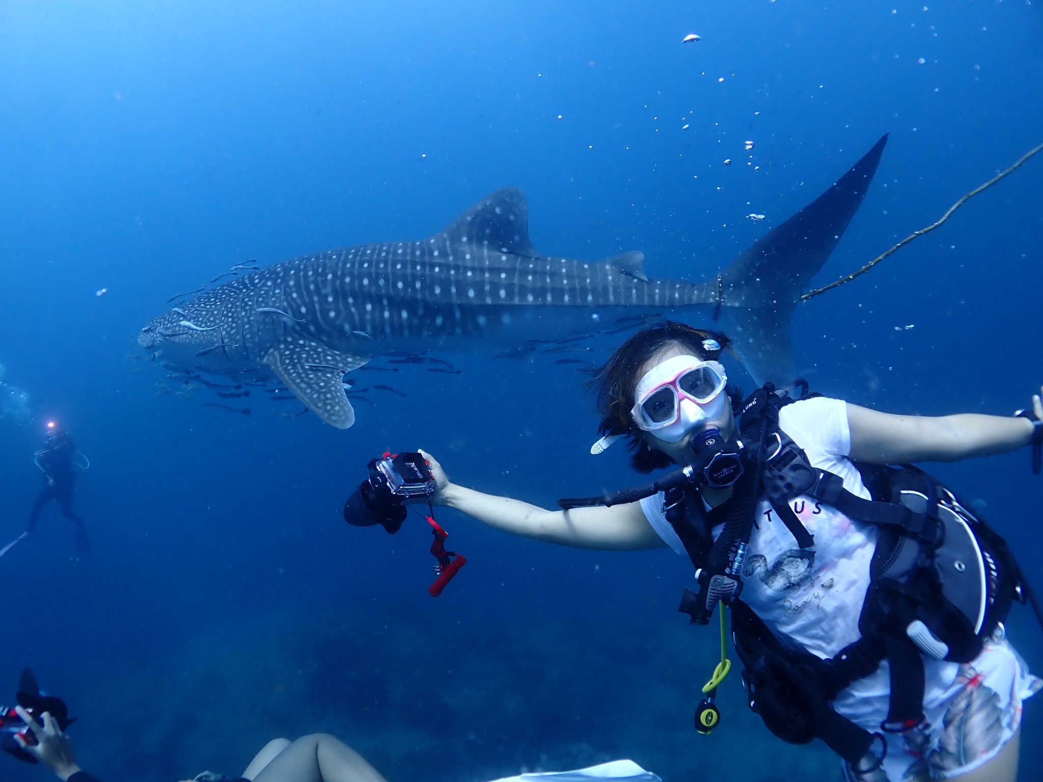 Home page » HappyDive.net