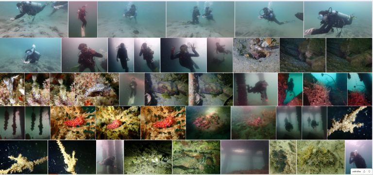 DIVING TRIPS » HappyDive.net