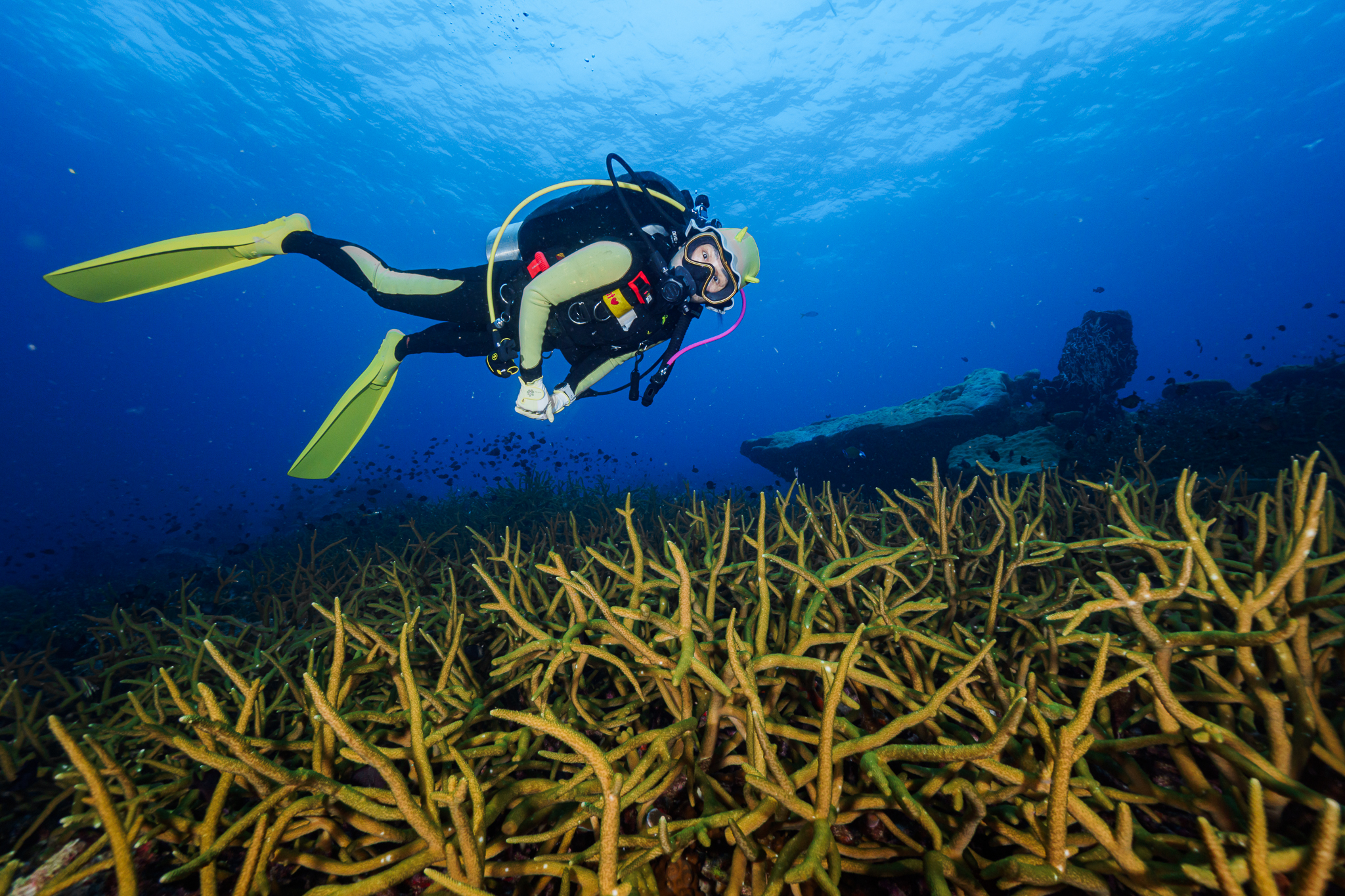 Losin 3-4-5 September 2026 with Vela Liveaboard » HappyDive.net